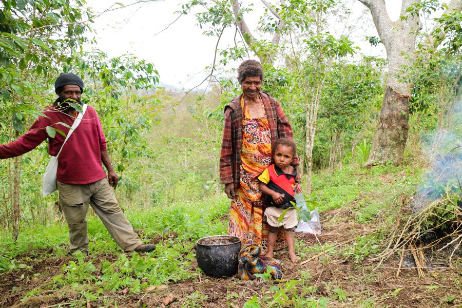 Improving livelihoods of smallholder coffee communities in PNG ...